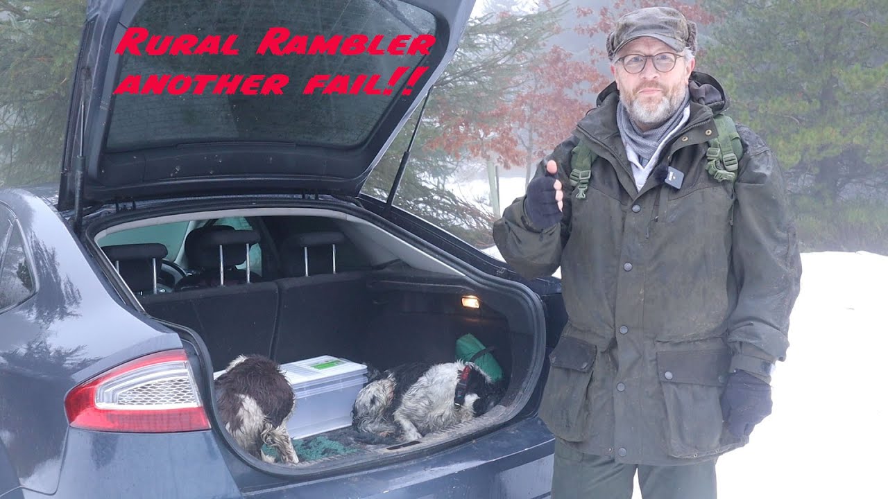 Walk in Durris Forest, didn't make it to the picnic tables on the top ...