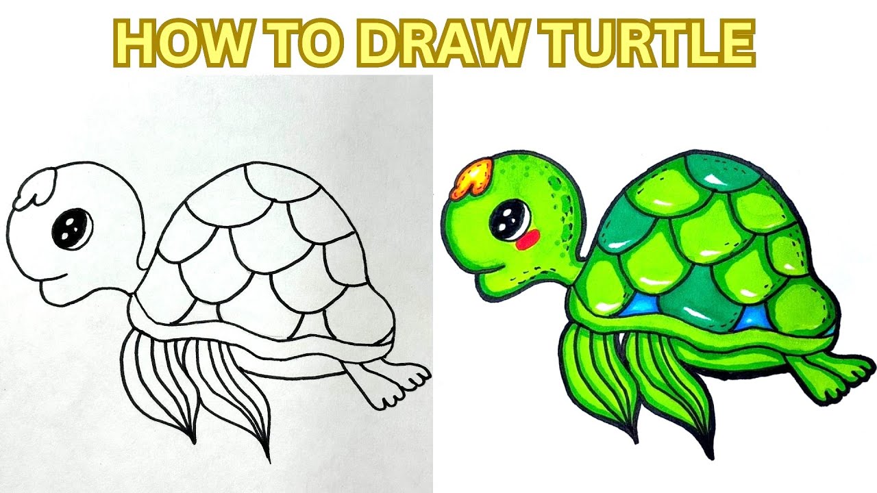 How to Draw a turtle with Colorful Markers - Easy and Fun for All Ages ...