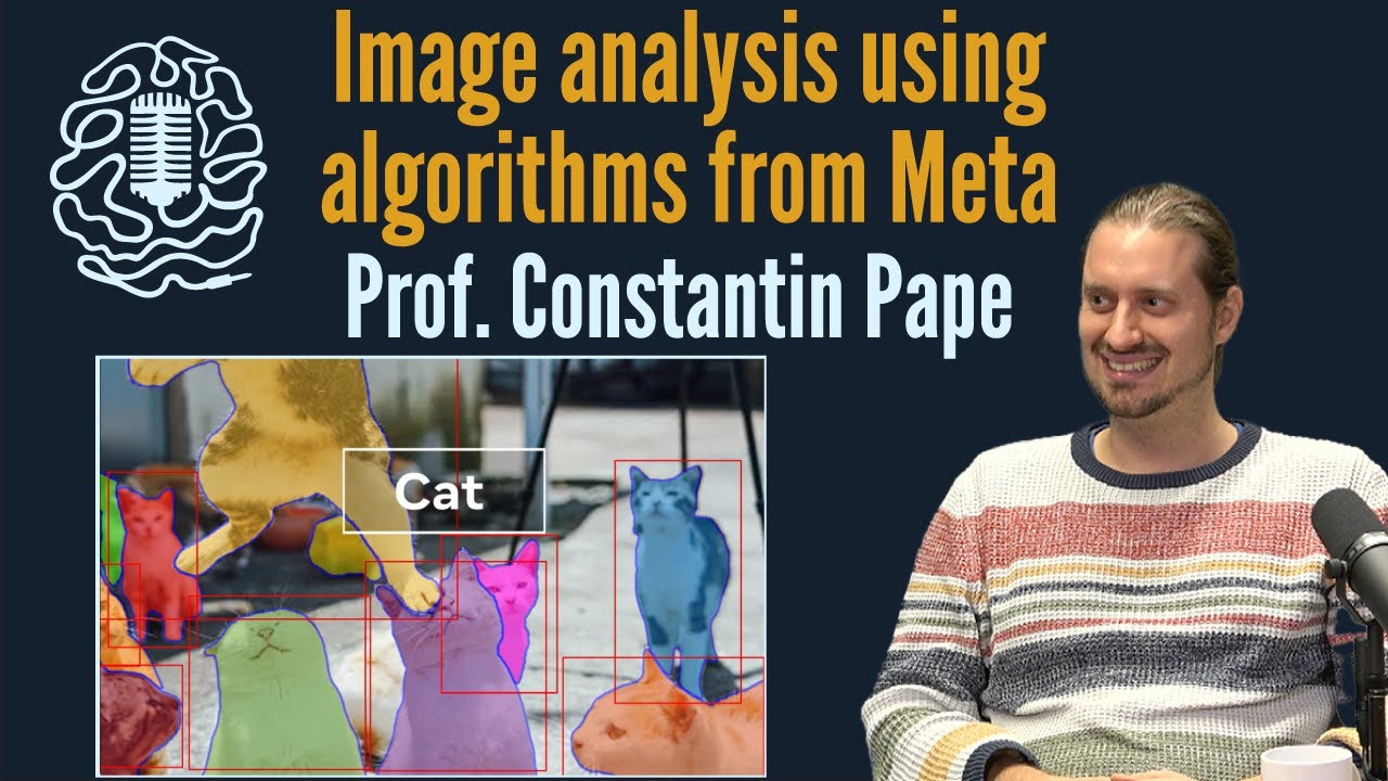 How algorithms from Meta help scientists - Segment Anything and image ...