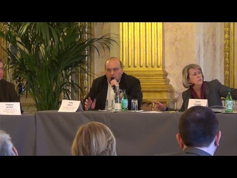 Faut-il changer de république ? La constitution à l'épreuve des ...