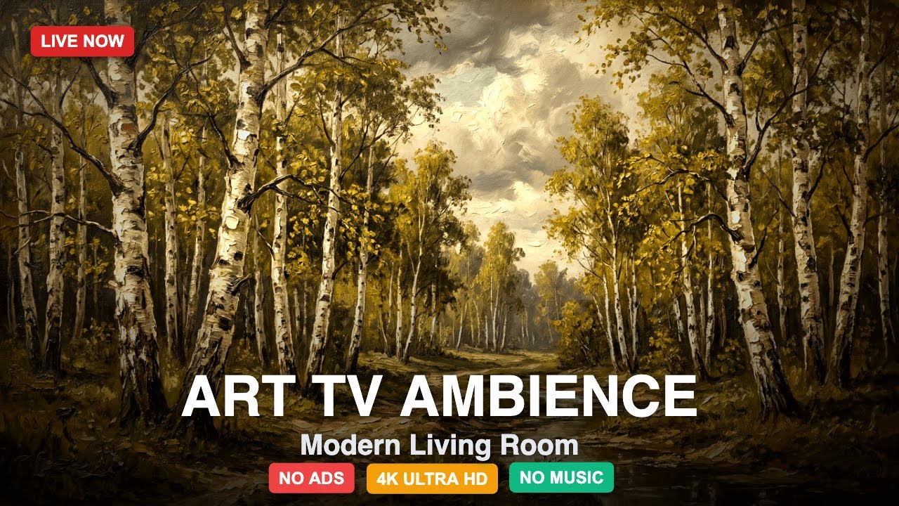 Silent Birch Forest ART TV | 4K Screensaver (Relaxing Nature Scene ...