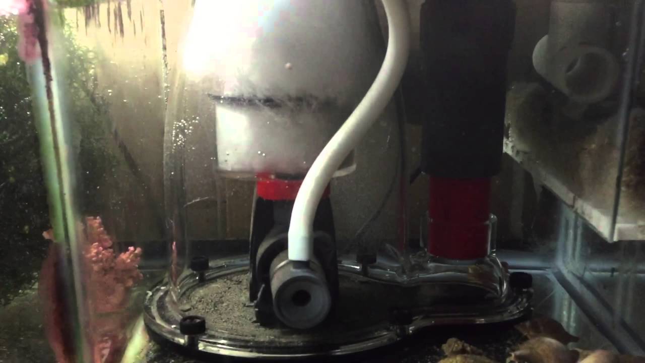 Reef octopus 152-S skimmer - YouTube