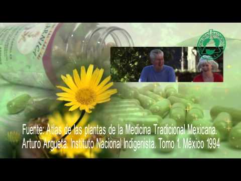 Bio Arnica - Cápsulas