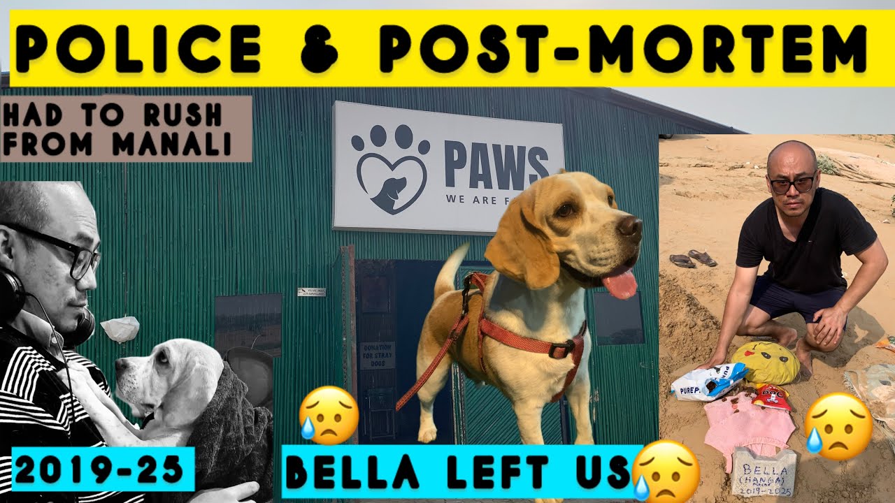 Bella left us | Had to rush from Manali | Police & Post-mortem | very emotional moment 😥 - YouTube