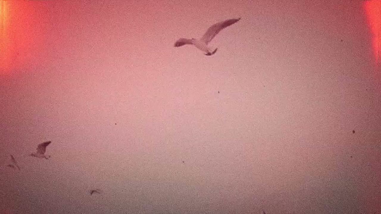 AUSTERE release the album "Corrosion of Hearts"