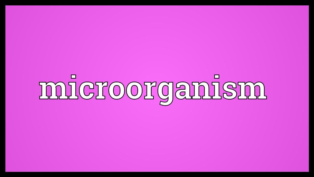 Microorganism Meaning - YouTube
