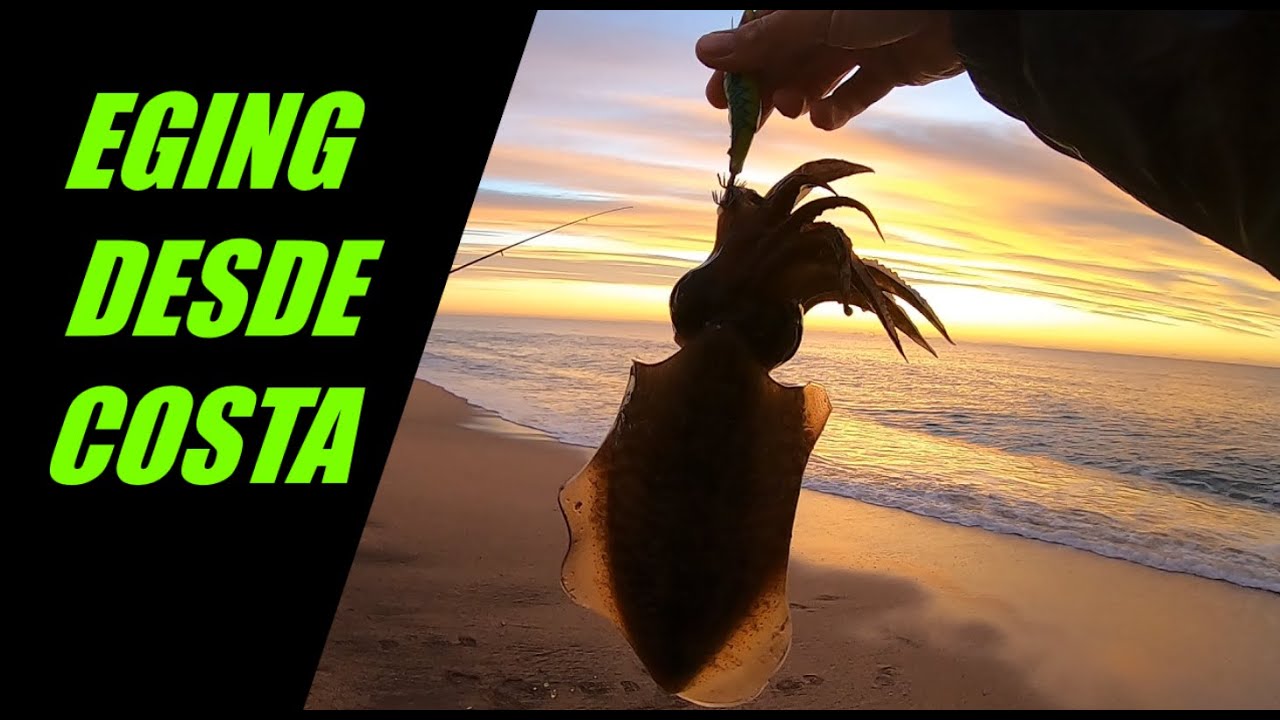 🔥PESCA EGING DESDE PLAYA🎣🦑 - YouTube