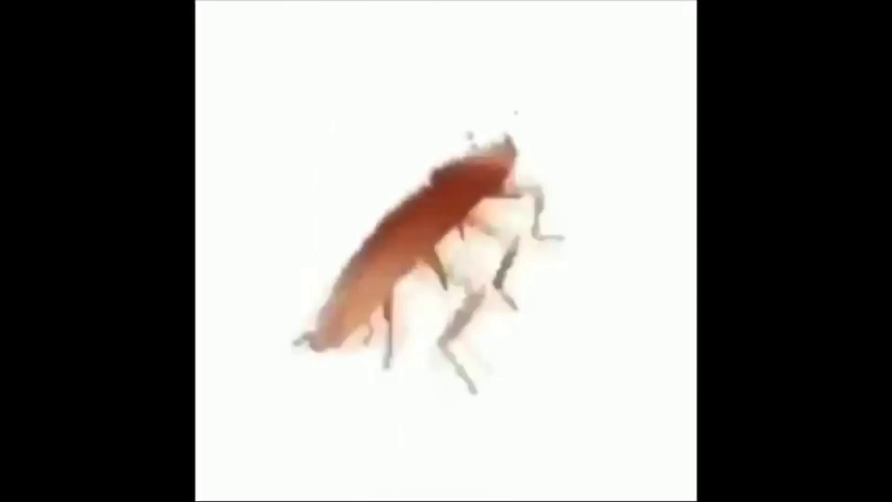 Cockroach dance because he has depression - YouTube