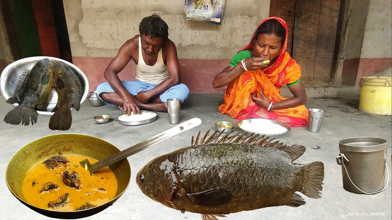 How to mother cooking DESHI KOI FISH CURRY Recipe and lunch by village ...