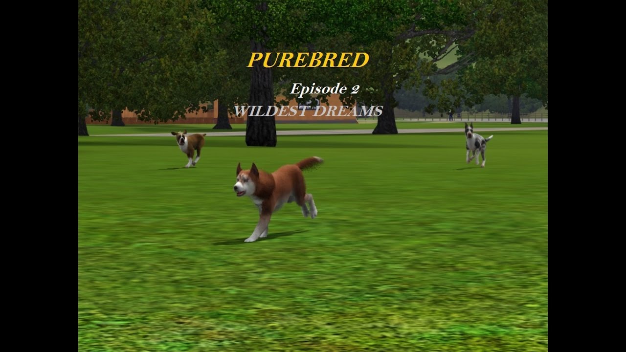 PureBred - Episode 2 - YouTube