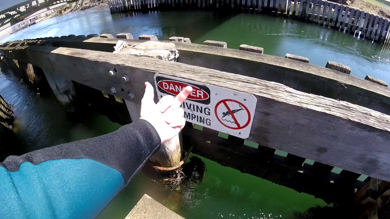 Media Arts Project - Callum Bridge - YouTube