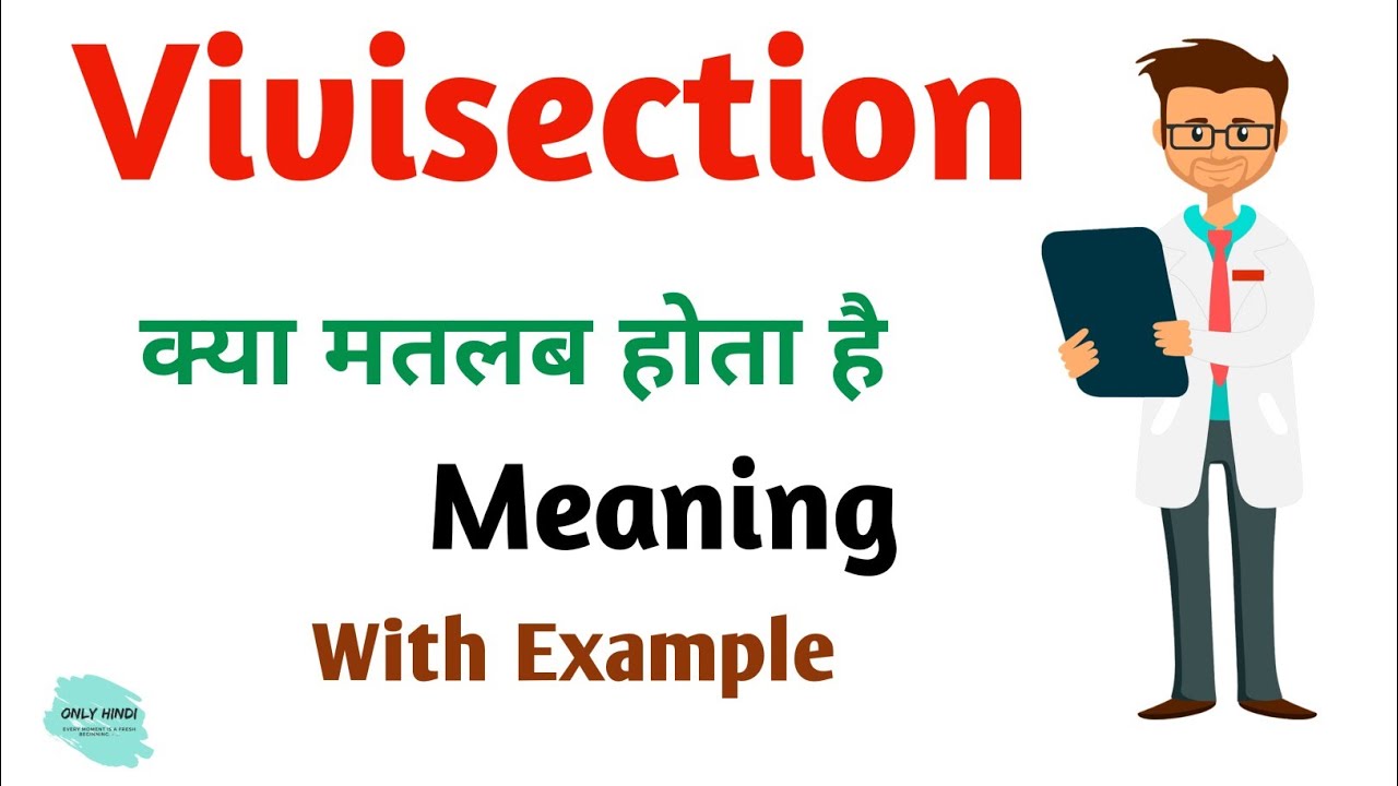 Vivisection meaning in hindi | Vivisection Ka Kya Matlab hota hai ...
