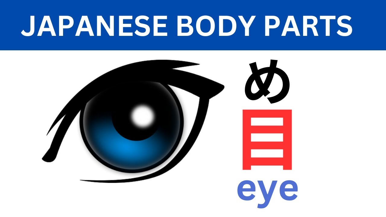 Japanese All Body Parts Vocabulary With Image - YouTube