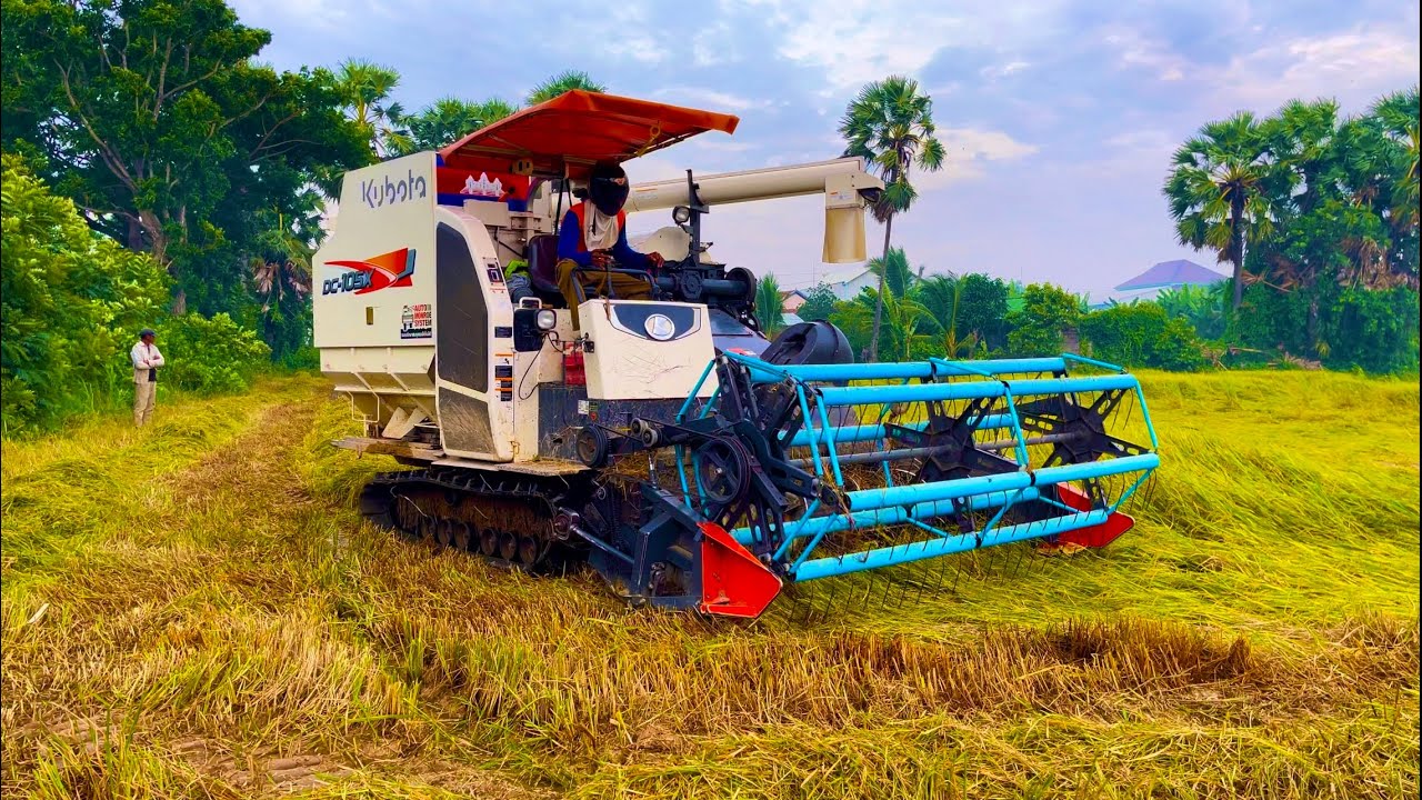 Agricultural Engineering Machine!!! Harvester Machine Working In ...