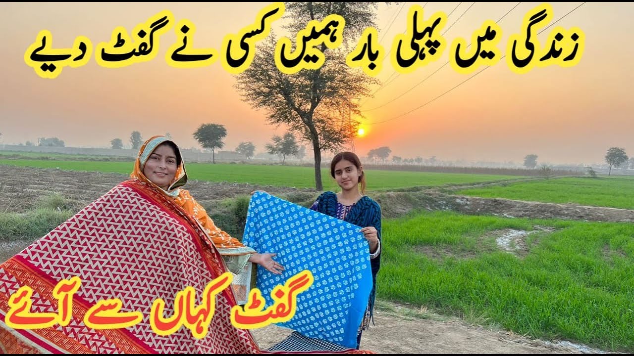 Daily Traditional Village Life | Mud House Life in Pakistan | Pakistani ...