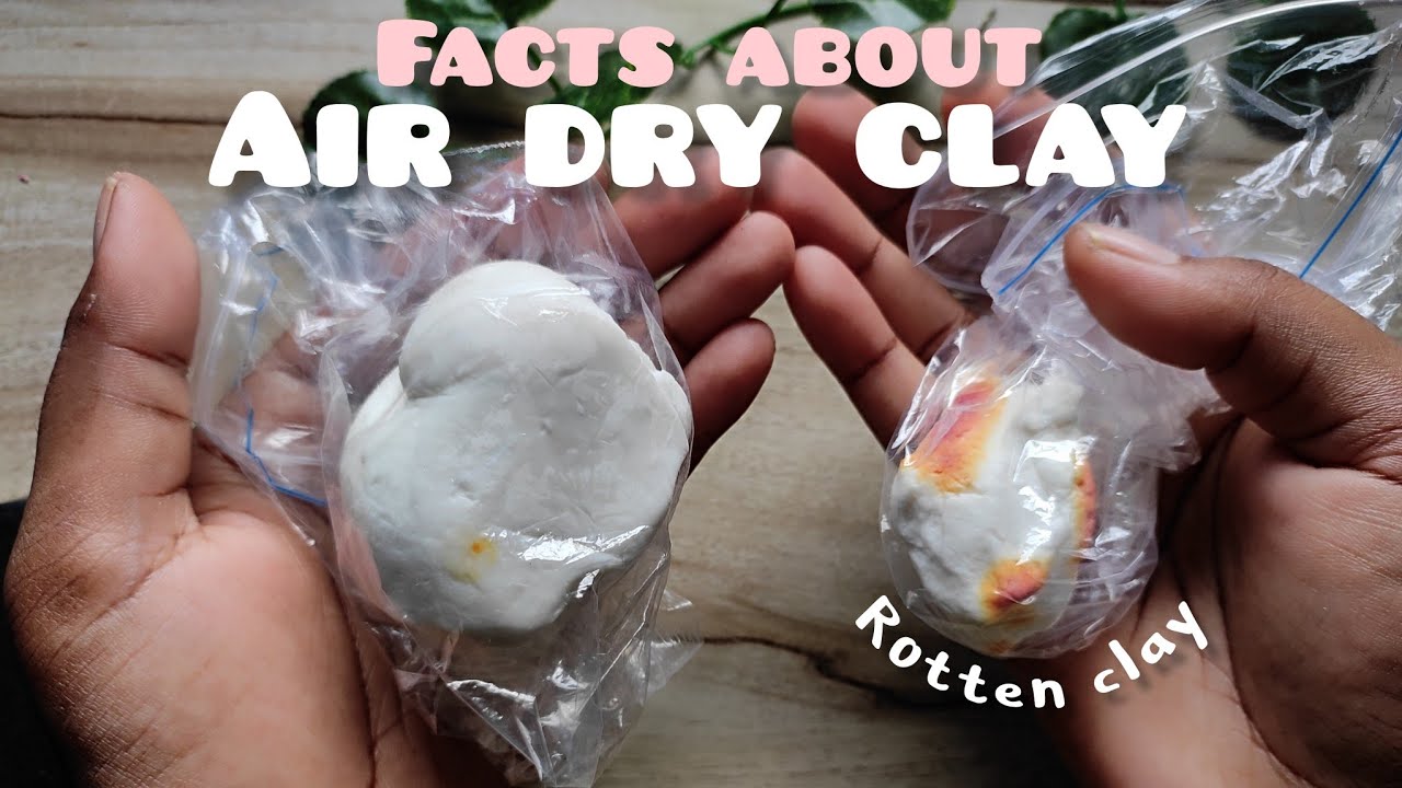 facts about air dry clay// rotten clay😣 // clay vlog// homemade air dry ...