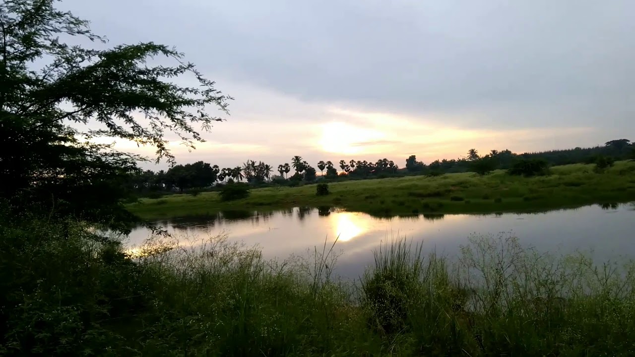 Awesome village-panapakkam-see the magic - YouTube