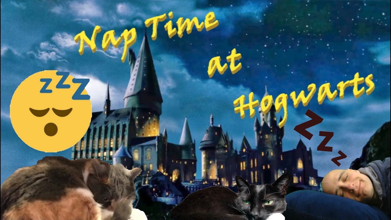 Nap Time at Hogwarts Part 7: Harry Potter Deathly Hallows 1 SPOILERS ...