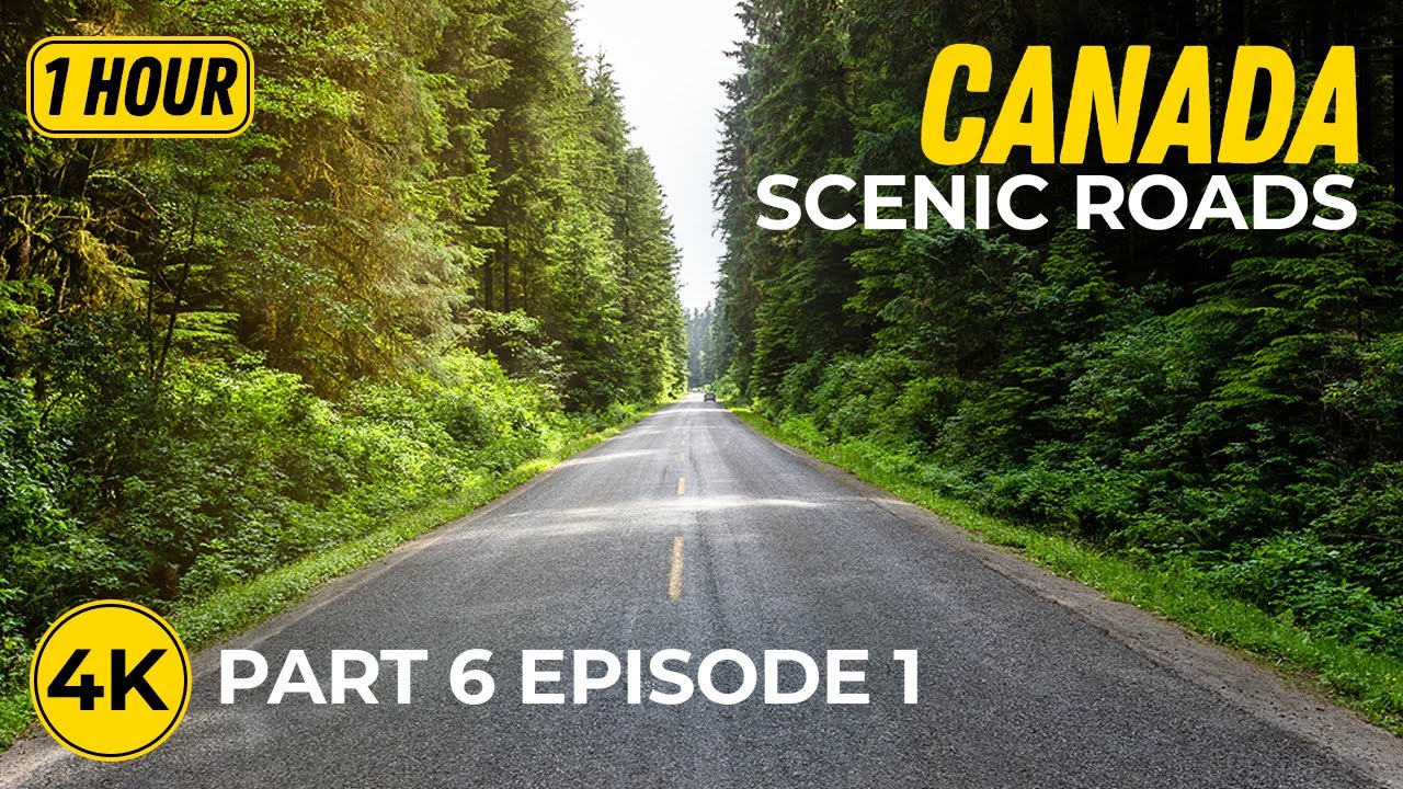 Virtual Road Trip to Vancouver Island - 4K POV Scenic Roads of Canada ...