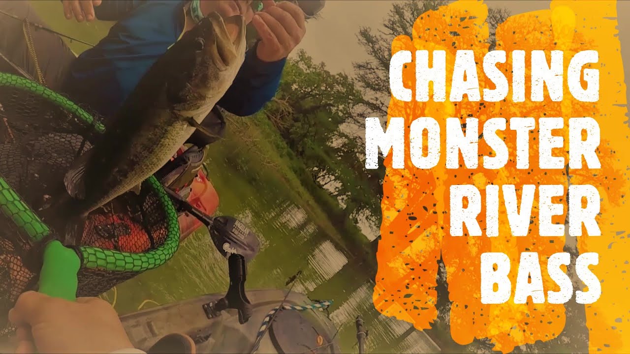 Kayak Fishing for Monster River Bass - YouTube