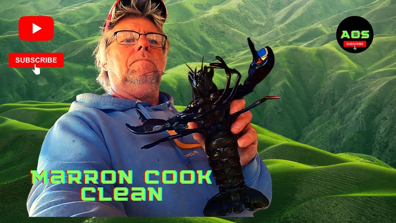 Live Marron Clean Cooked And Prepared - YouTube