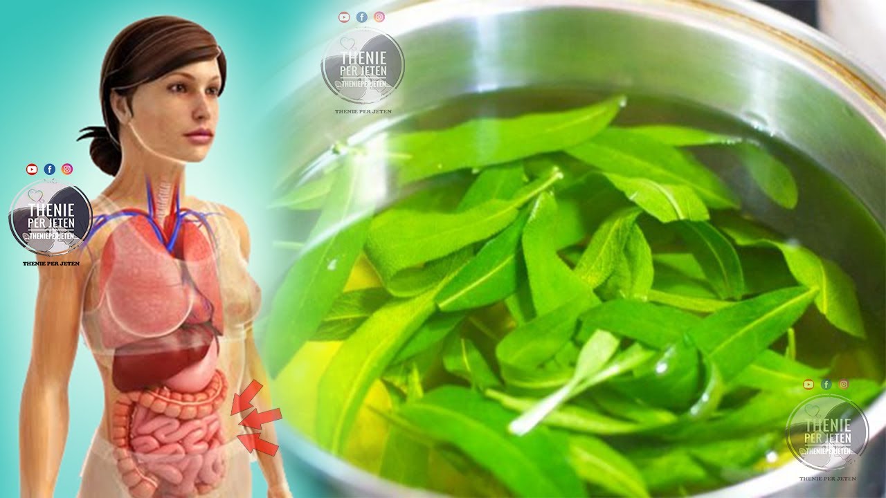 Një çaj sherebele kundër mërzisë, ankthit dhe stresit, ja si ta ...