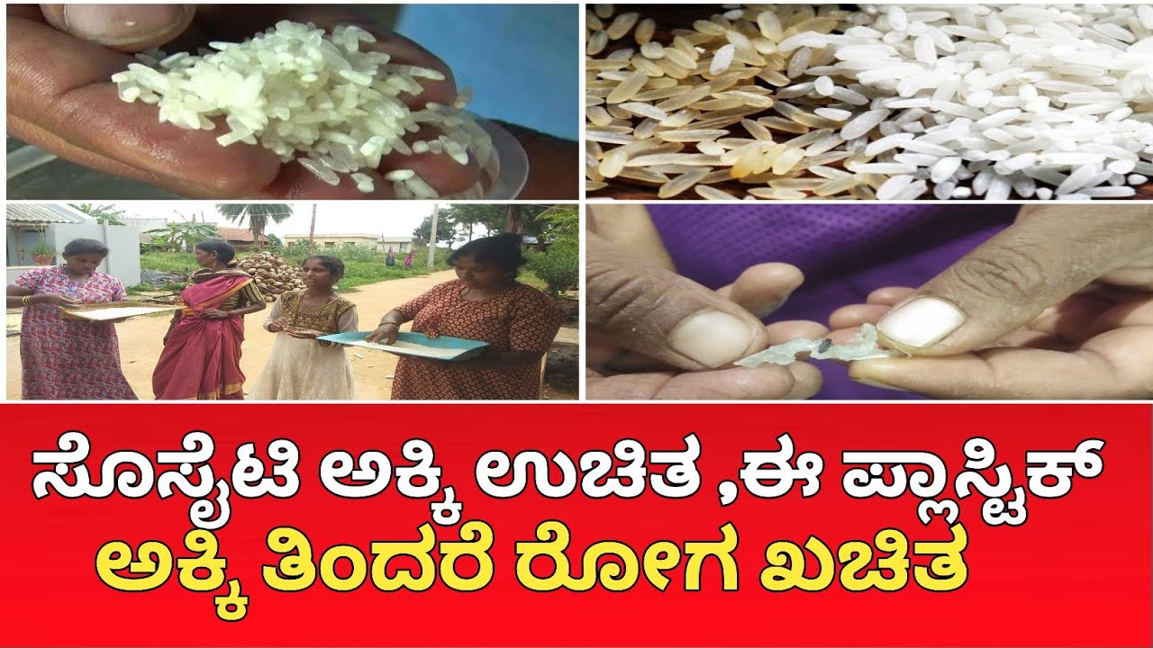 Congress Rice | ಸೊಸೈಟಿ ಅಕ್ಕಿ ಉಚಿತ , ಈ ಪ್ಲಾಸ್ಟಿಕ್ ಅಕ್ಕಿ ತಿಂದರೆ ರೋಗ ಖಚಿತ ...