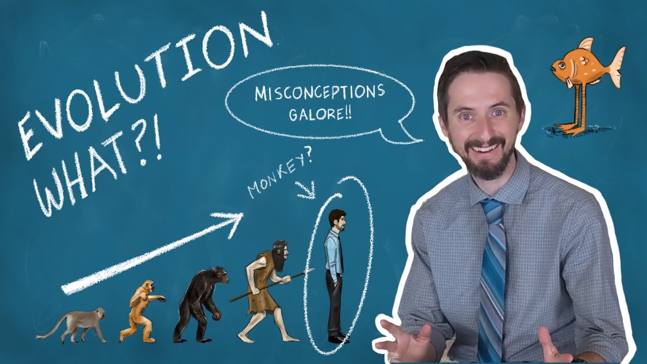 Top 5 Evolution Misconceptions - YouTube