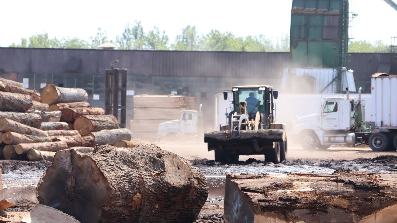 Inside the Craft: Frank Miller Lumber on the World's Greatest TV Show ...