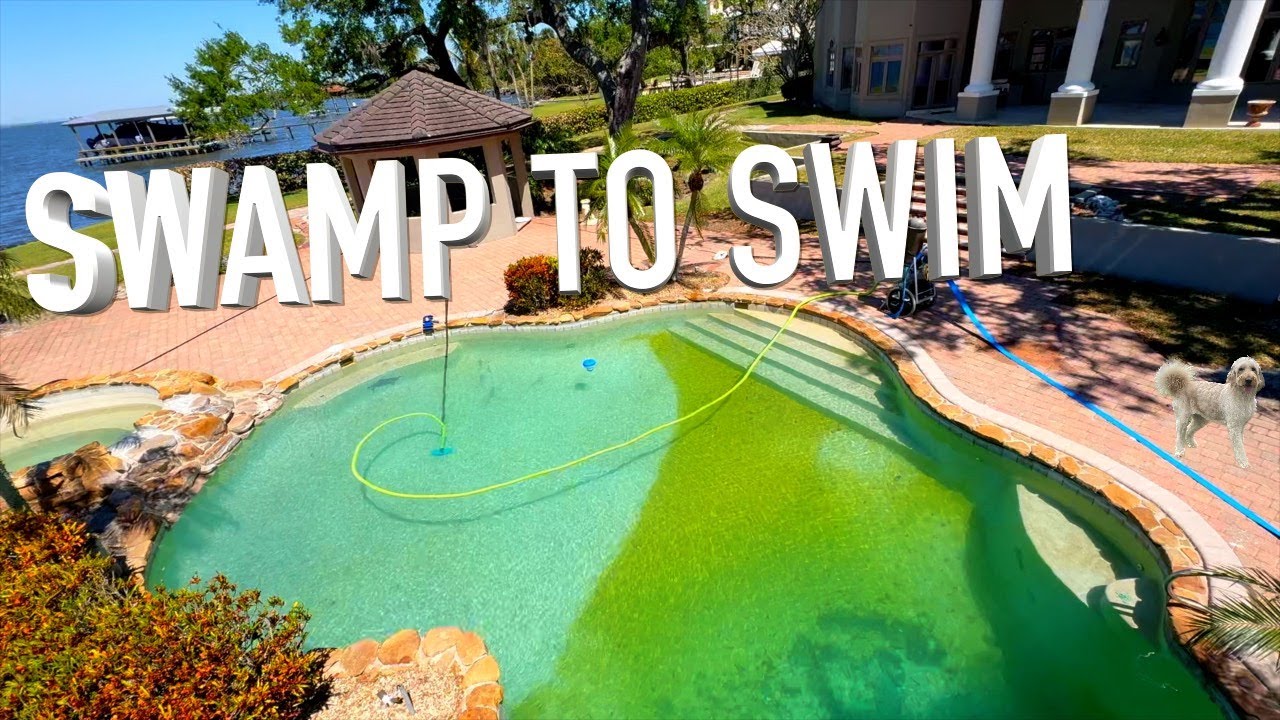SWAMP to SWIM MANSION - Watch Pool Transform from Green to - YouTube