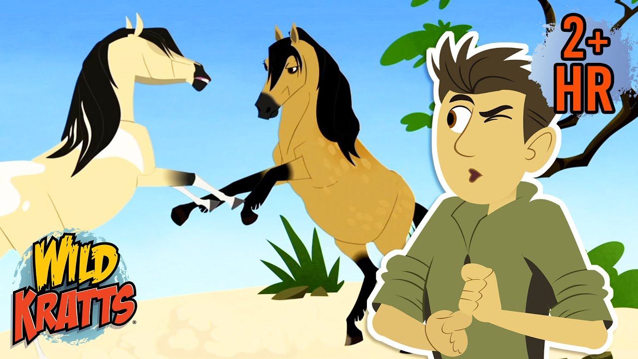 Wild Pony Stallion Showdown | Creature Combat | Animals for Kids | Wild ...