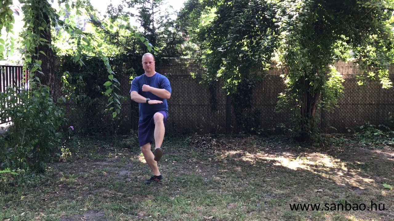 Tai Chi Form 48 Traditional Yang Style Forma eleje Taichi2 20180823 ...