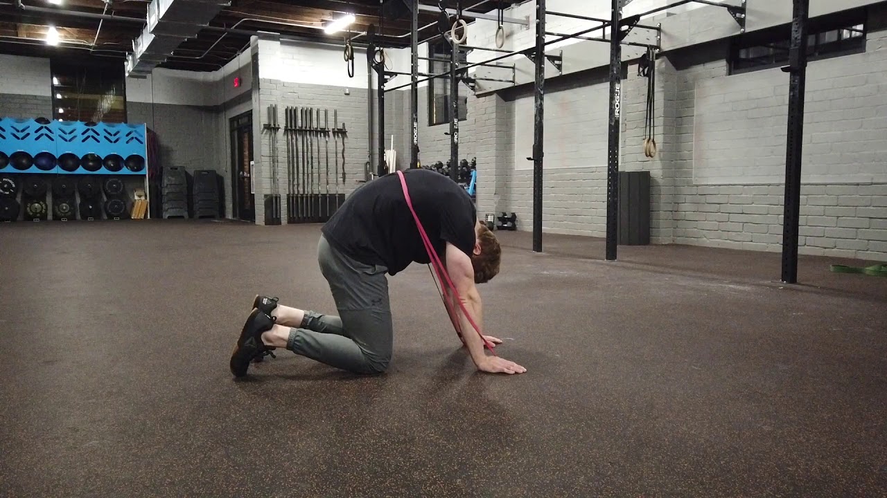 Banded Cat Cow - YouTube