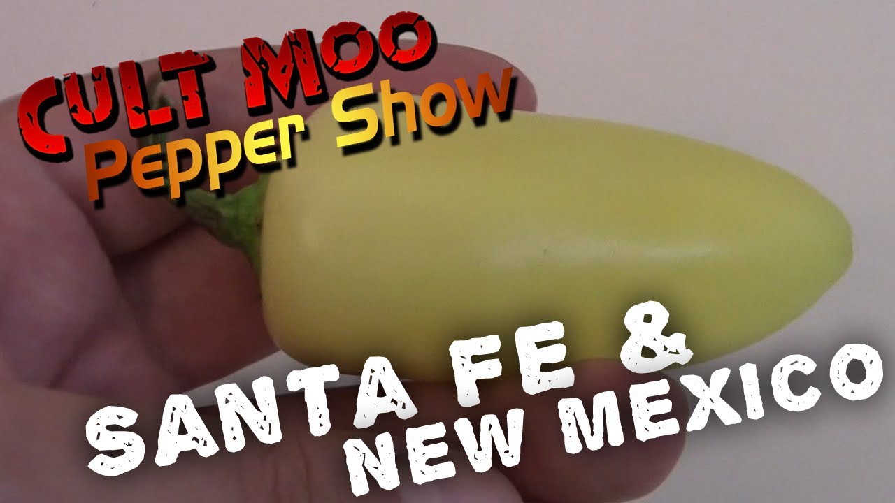 Pepper Show ep3 - Santa Fe Grande & New Mexico - YouTube