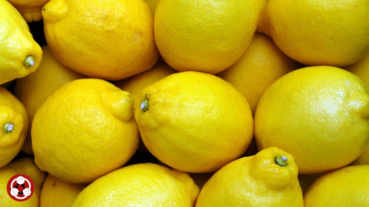 Fruits 水果 How to pronounce lemon,柠檬,レモン,레몬, citron, citroen, Zitrone ...