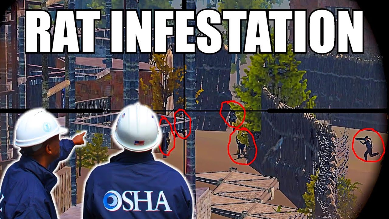 dealing with a rat infestation in rust - YouTube