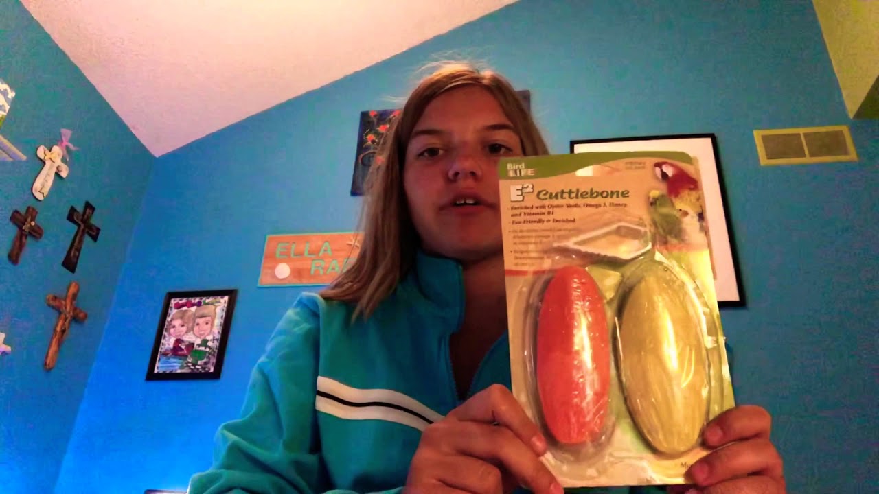 Cuddle bones! What do they help with? - YouTube