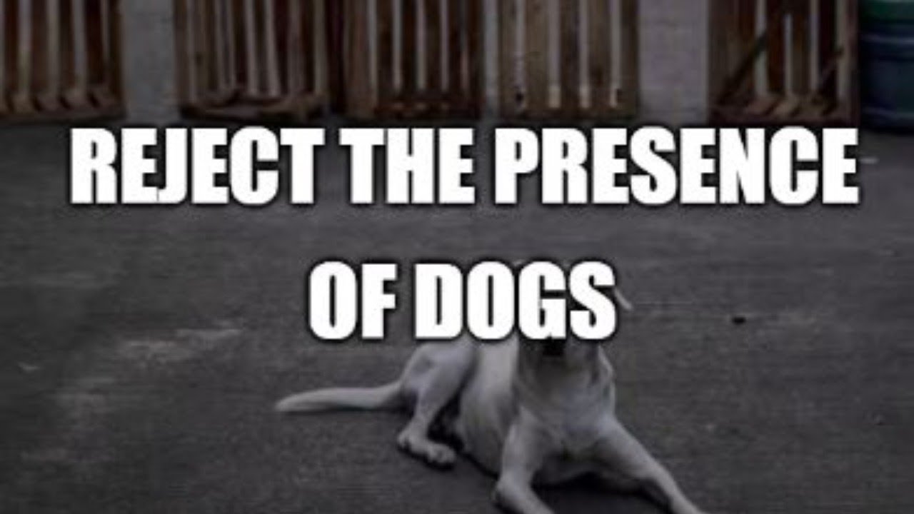 Reject The Presence Of Dogs - YouTube