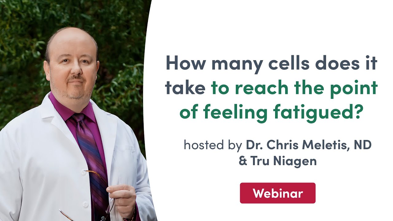 How Many Cells Does It Take To Reach The Point Of Feeling Fatigued how-many-cells-does-it-take-to-reach-the-point-of-feeling-fatigued