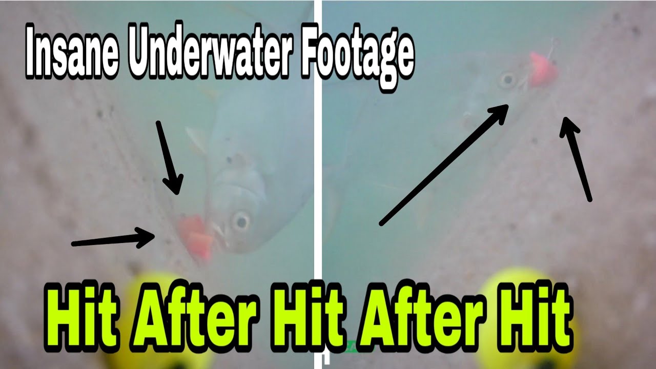 Pro Fishing Go Fish Camera Underwater Footage goes Insane with current ...