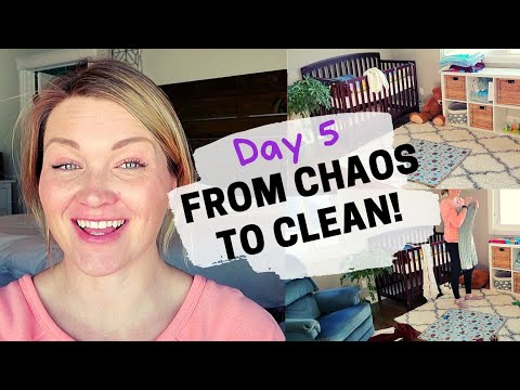 Day 5 - Building Daily Routines | Flylady Routine Refresh | Cleaning ...