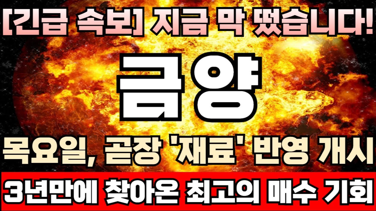 금양 주가전망 ‘유상증자‘ 정면돌파 분수령 자회사 ‘에스엠랩 상장 미승인 결정 상장위 통보 후 자진 철회 수순