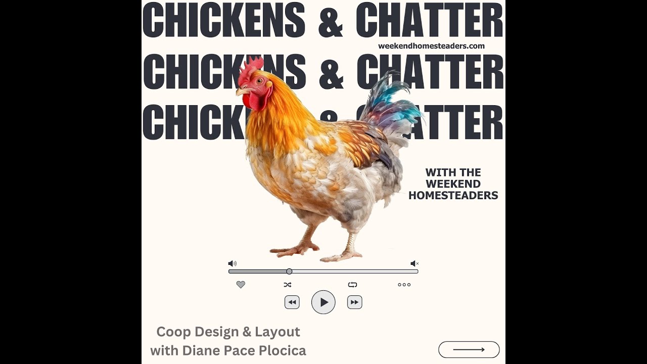 Chickens and Chatter: Coop Design and Layout with Diane Pace Plocica ...