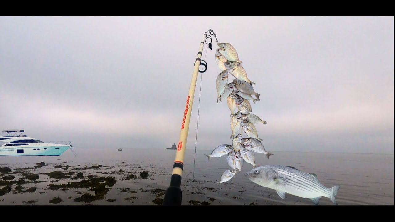 EPIC DAY IN THE ATLANTIC OCEAN.....BIG FISH AND A GOOD TIME!!!! - YouTube