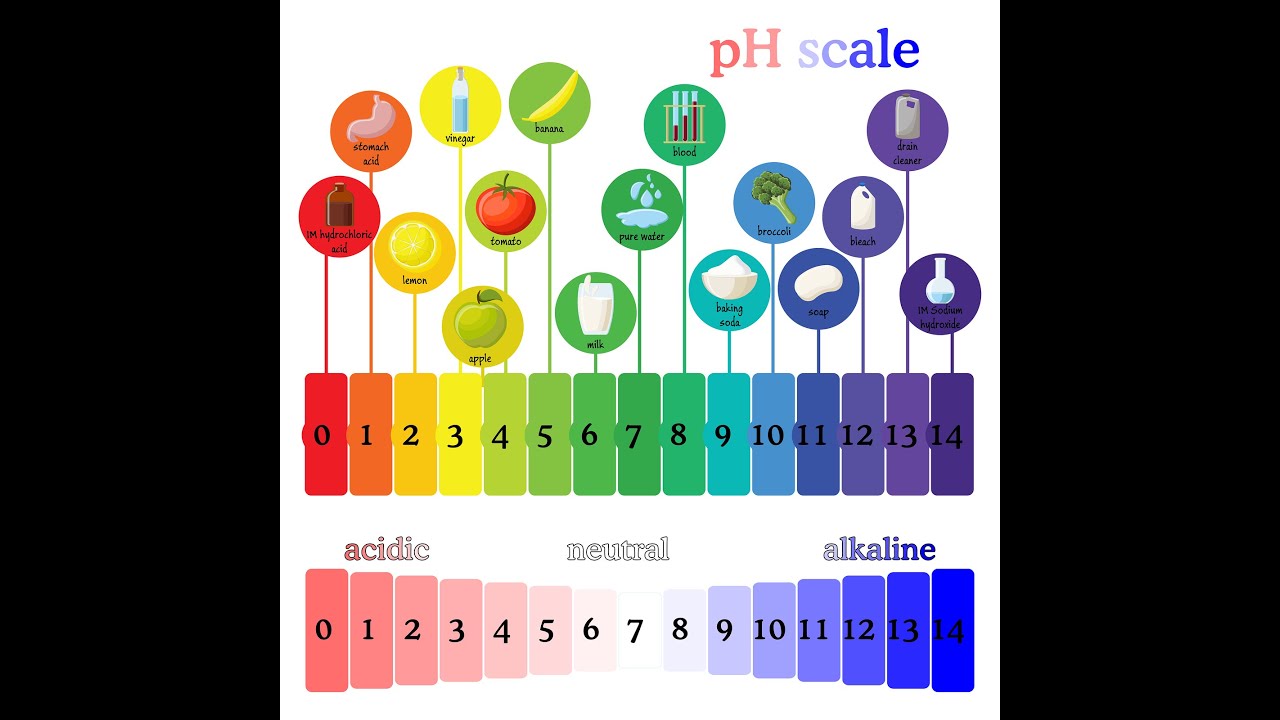 PH Scale, PH Man - YouTube