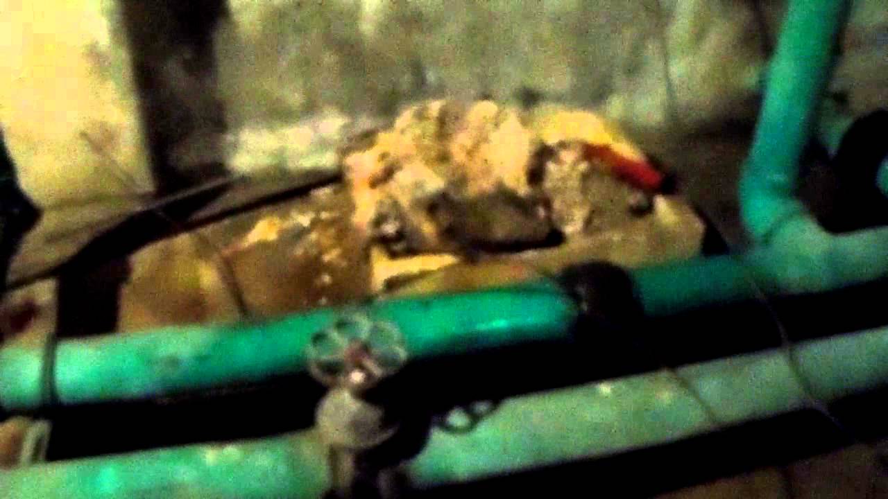 1ο ΕΠΑΛ ΚΑΤΕΡΙΝΗΣ-Η ΚΑΤΑΣΤΑΣΗ ΣΤΟ ΛΕΒΗΤΟΣΤΑΣΙΟ - YouTube
