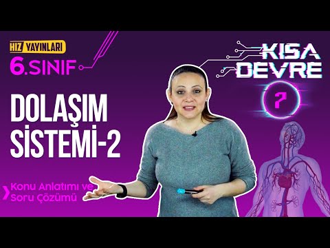 Dolaşım Sistemi Konu Anlatımı, Soru Çözümü 2 - 6. Sınıf Fen Konu Anlatımı 7. Ders