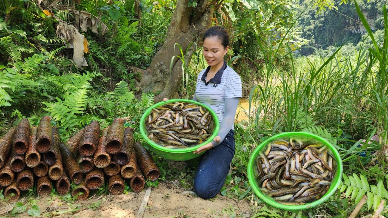 The girl who dropped a bamboo basket in a natural puddle caught 6kg of ...