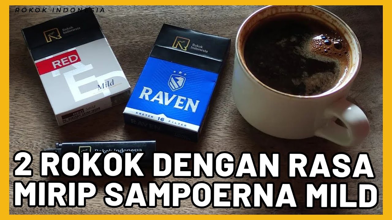 RED MILD VS RAVEN | ROKOK INDONESIA - YouTube