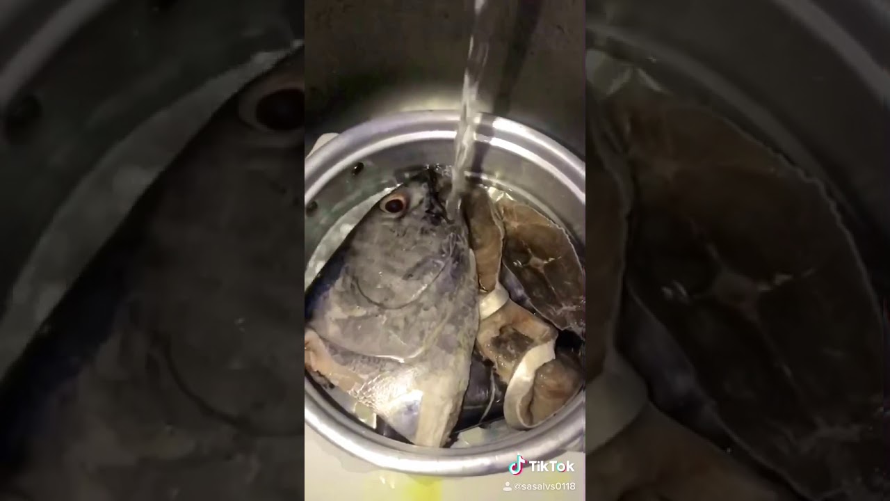 Piyalam puyan #Tausugpagkaun #Sasa💕 - YouTube